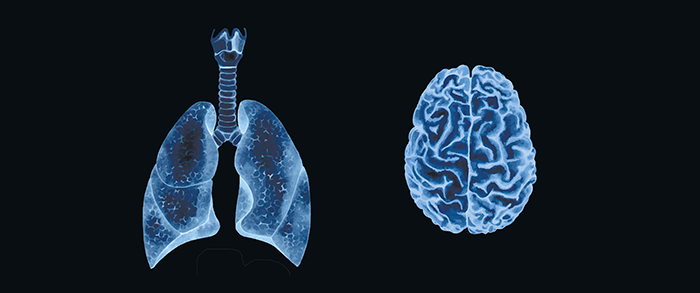 Neurological and Respiratory Disability Evaluation - DSS